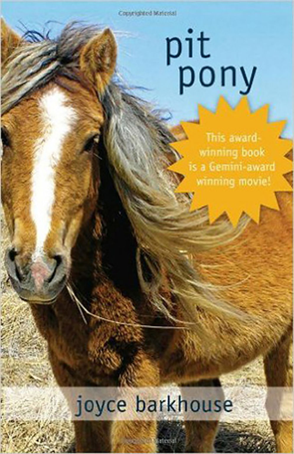 Pit Pony - Northwood Press